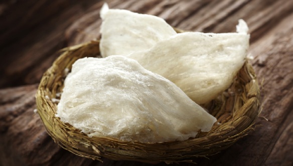 ️Harga Sarang Walet Per Kg Terbaru Juni 2026 - ARSIPUMUM.COM